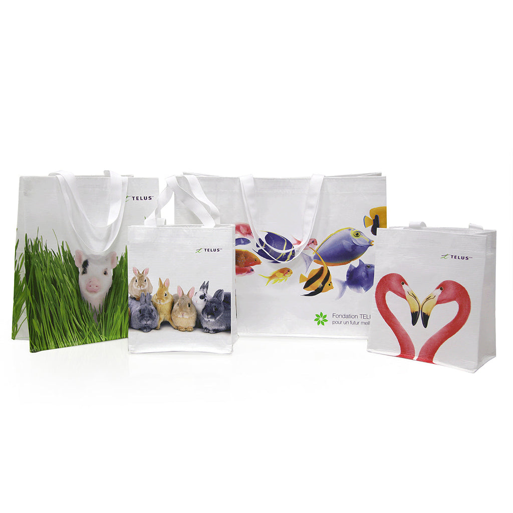 RPET with lamination – Luv2Pak